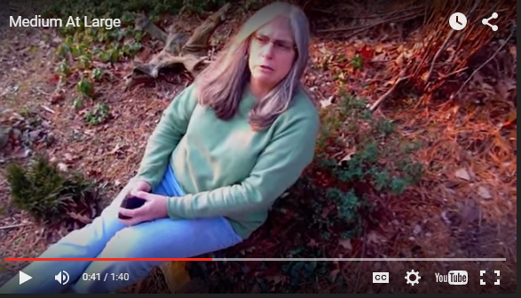 Litany Burns - DEVELOP YOUR PSYCHIC TALENTS… …AND USE THEM IN YOUR ...